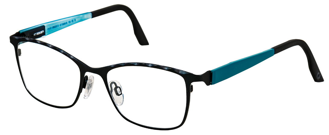 eye:max - Das Wechselbügelsystem für Brillen - eyemax